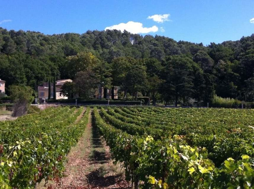 Domaines viticoles et caves du Luberon - découverte des vins du Luberon